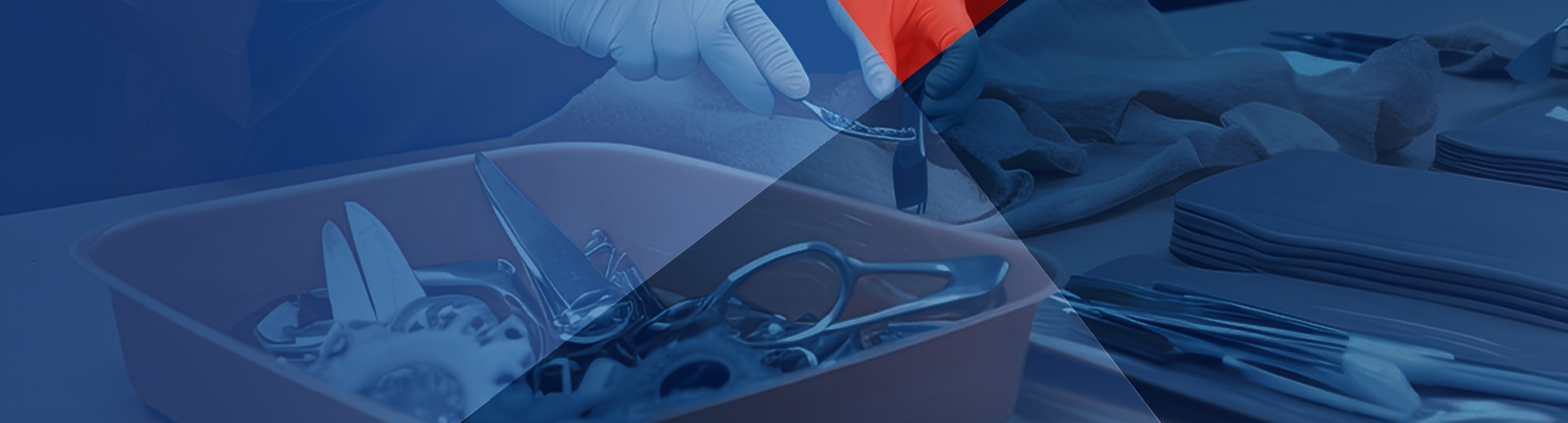 INSTRUMENTS CARE