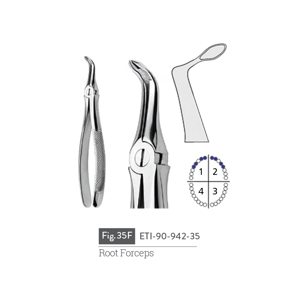 Root Forceps